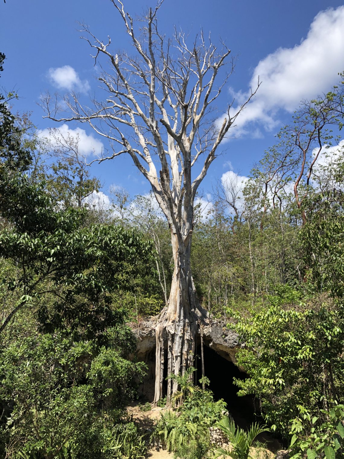 Cayman Islands with Kids: Your Complete Guide - Amber Likes