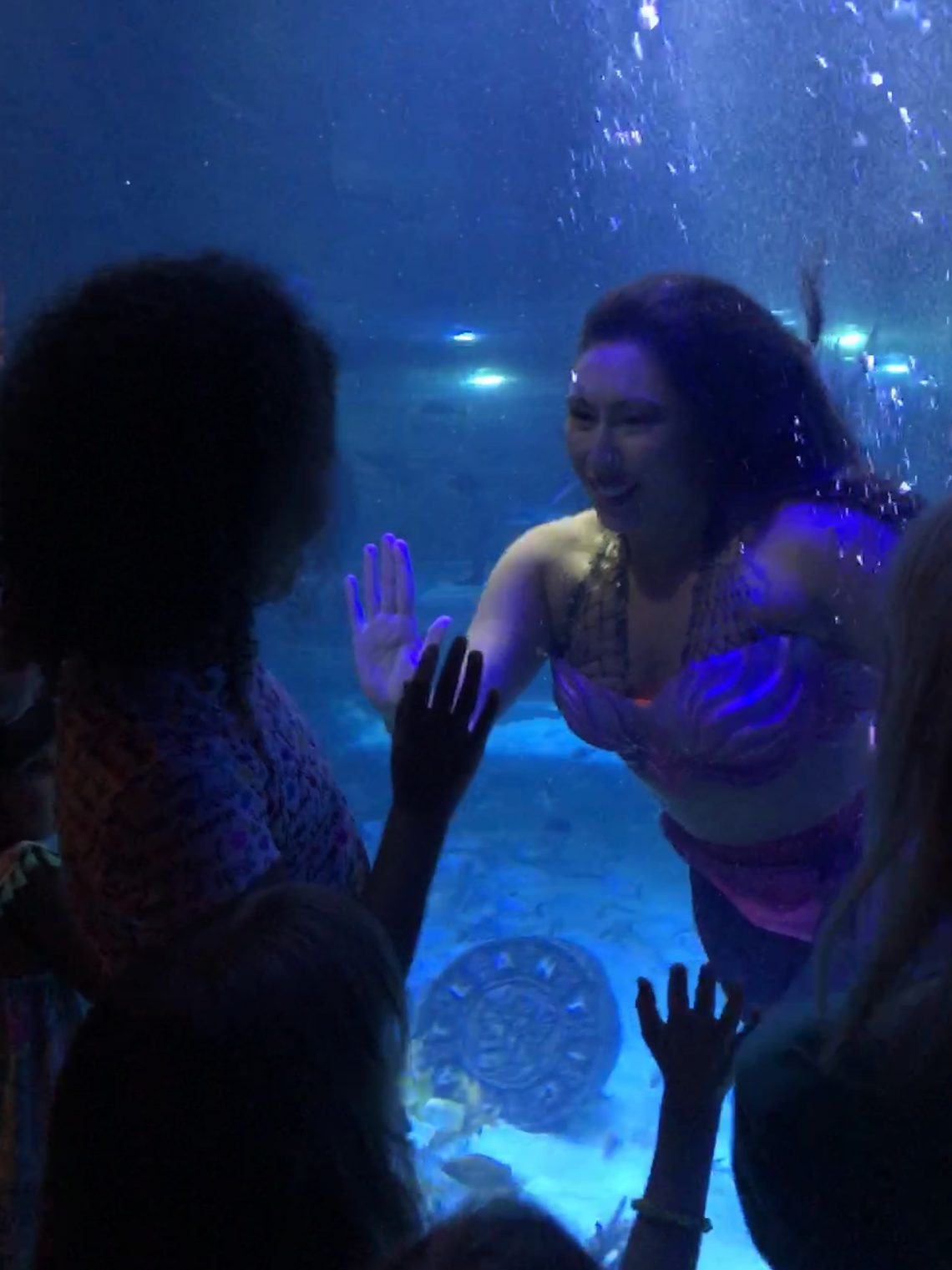 Have an Underwater Birthday Party at SEA LIFE Aquarium - Amber Likes