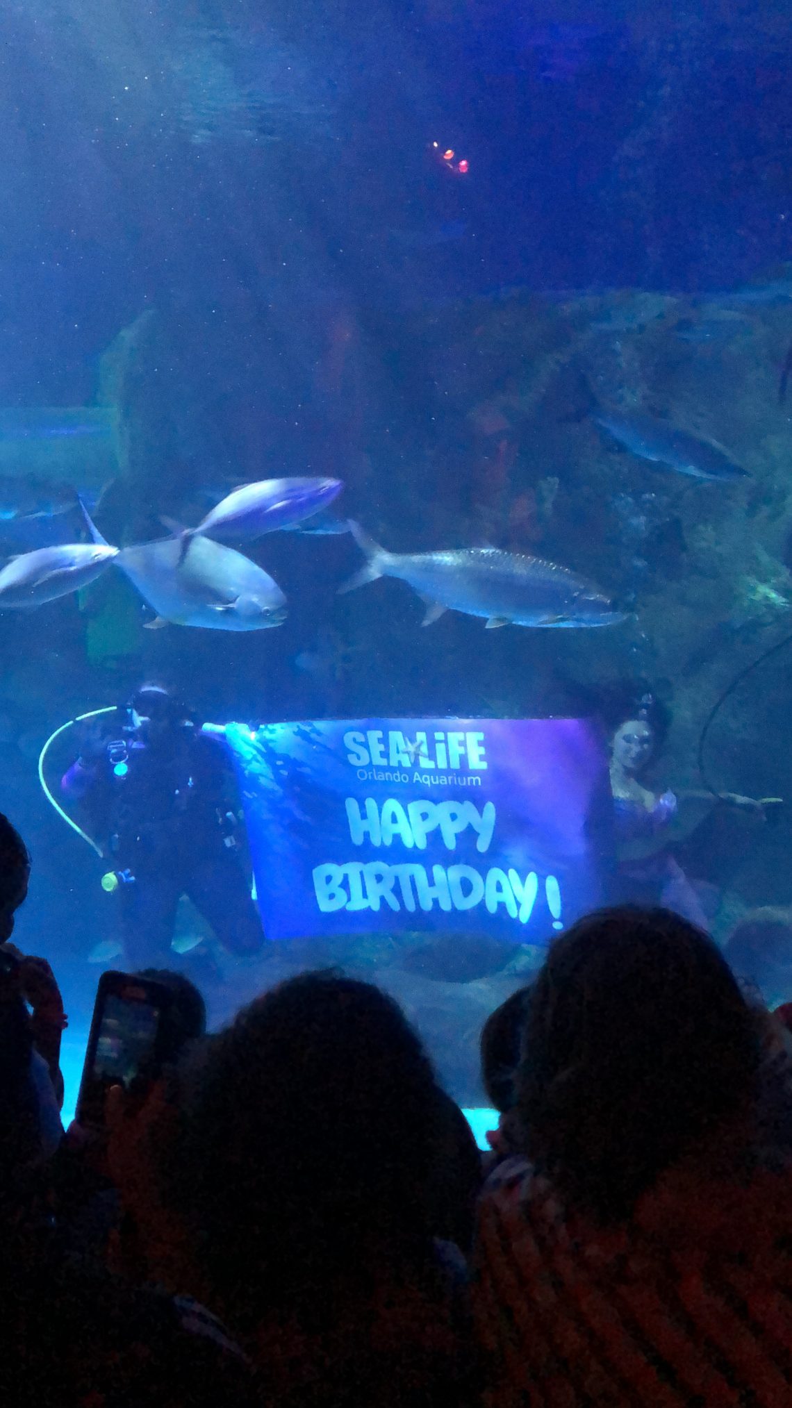 Have an Underwater Birthday Party at SEA LIFE Aquarium - Amber Likes