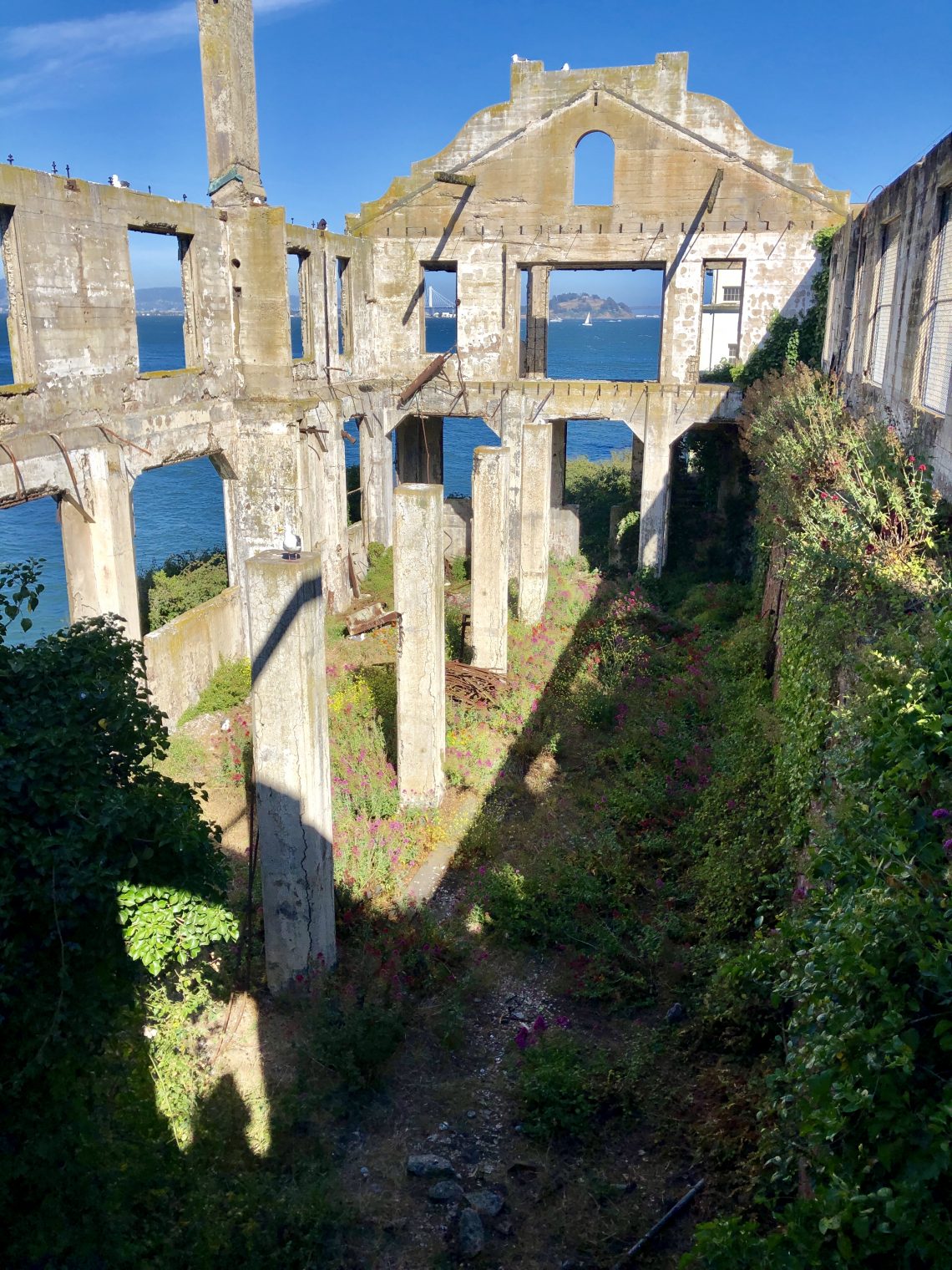 Alcatraz with Kids: The Complete Guide - Amber Likes