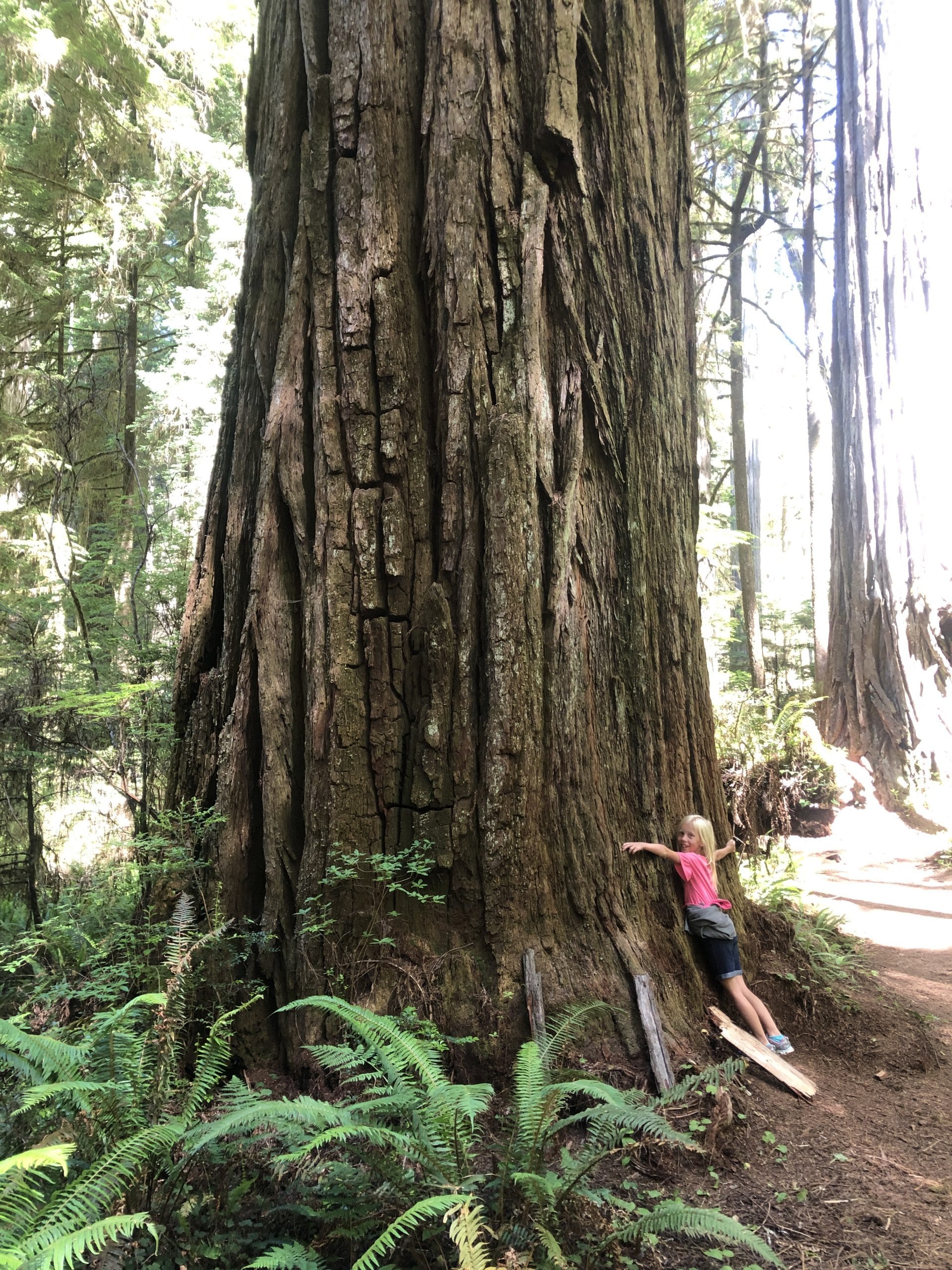 Get Outside: 5 Ways to Take Homeschooling into Nature - Amber Likes