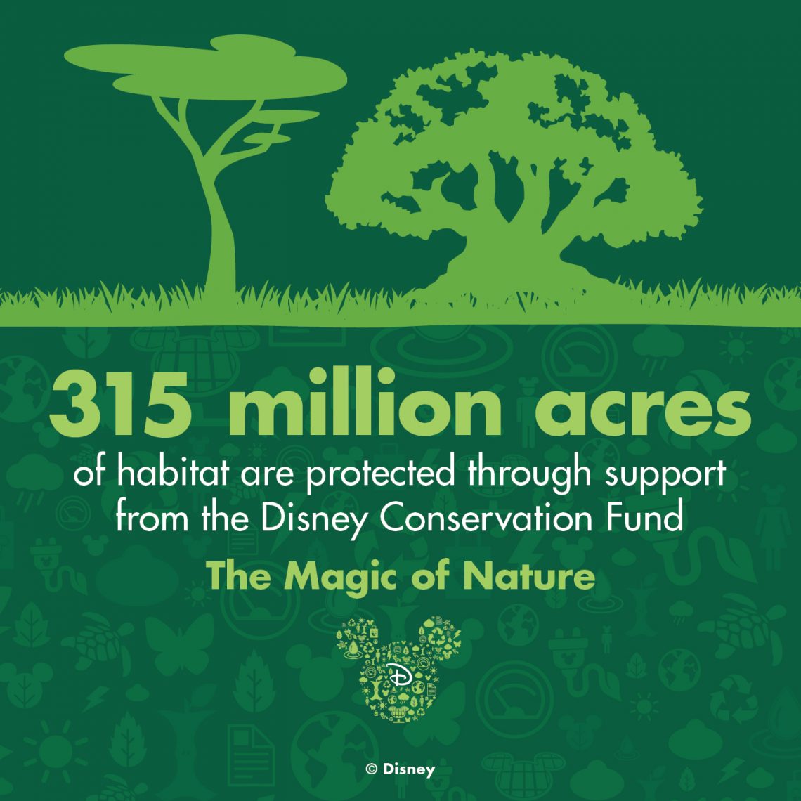 Disney Earth Day Activities at Home - Amber Likes