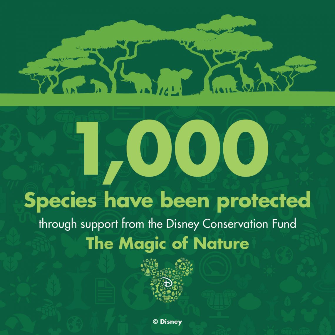 Disney Earth Day Activities at Home - Amber Likes