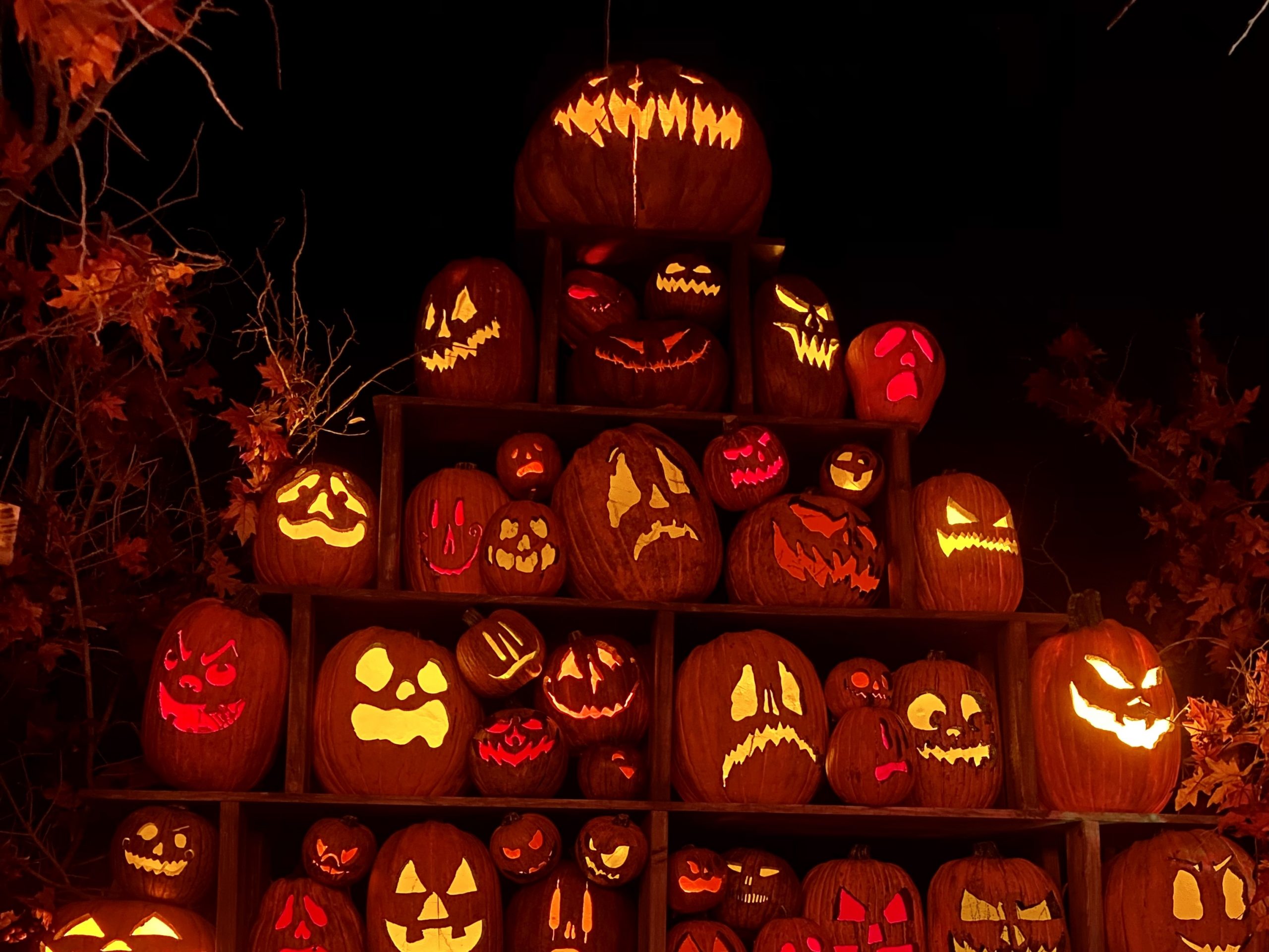 Universal Orlando Halloween 2020: All the Spooky Details - Amber Likes