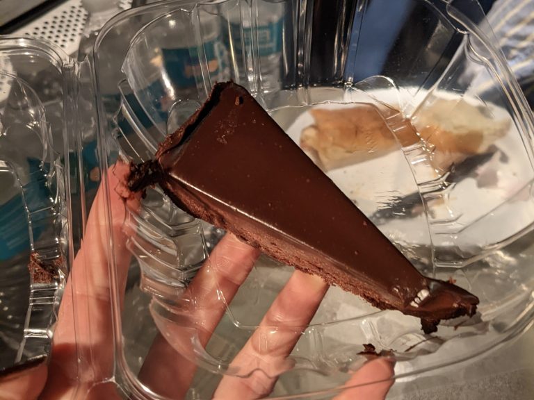 Amtrak Auto Train Review for Families and Kids - Amber Likes