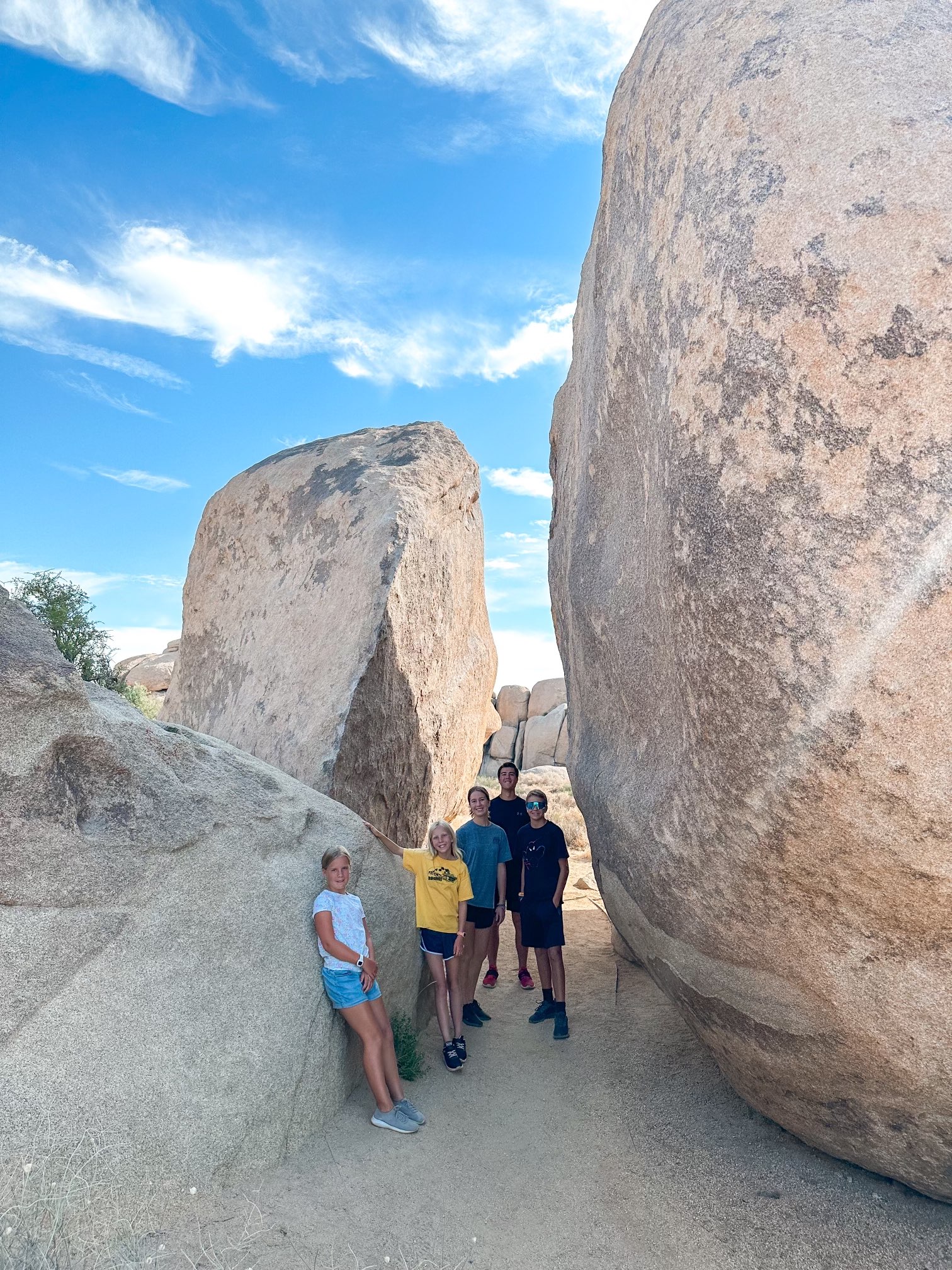 Joshua Tree Stargazing in a Dark Sky - Amber Likes