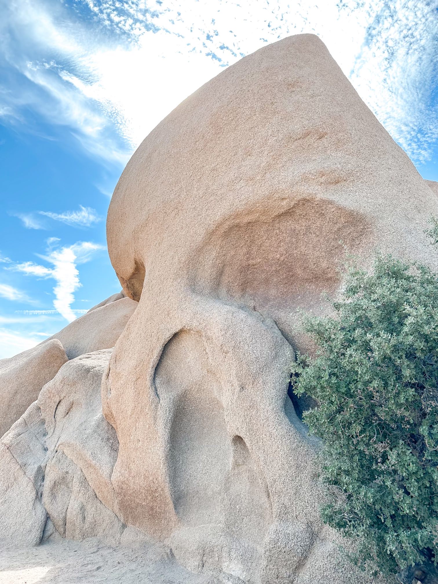 Joshua Tree Stargazing in a Dark Sky - Amber Likes